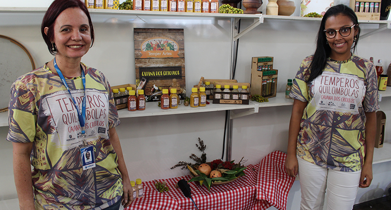 Temper Artes – Fundação Pedro Américo